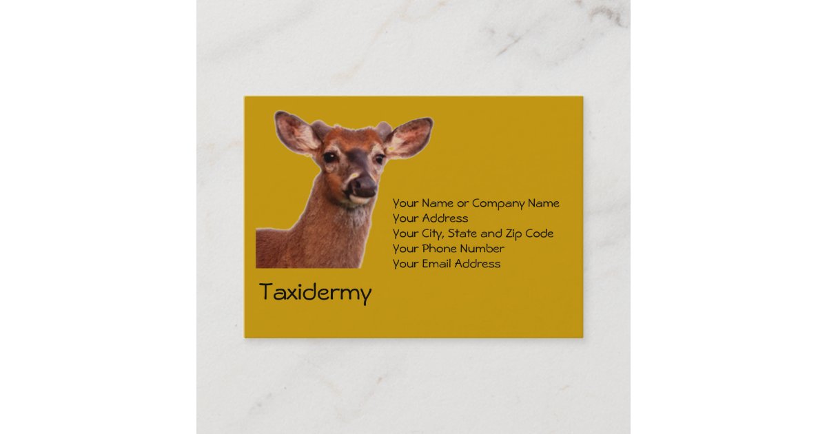Taxidermy Business Card | Zazzle.com