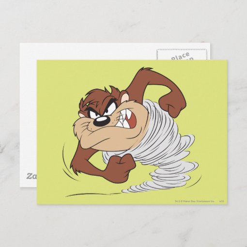 TAZ™ spinning fast Postcard | Zazzle