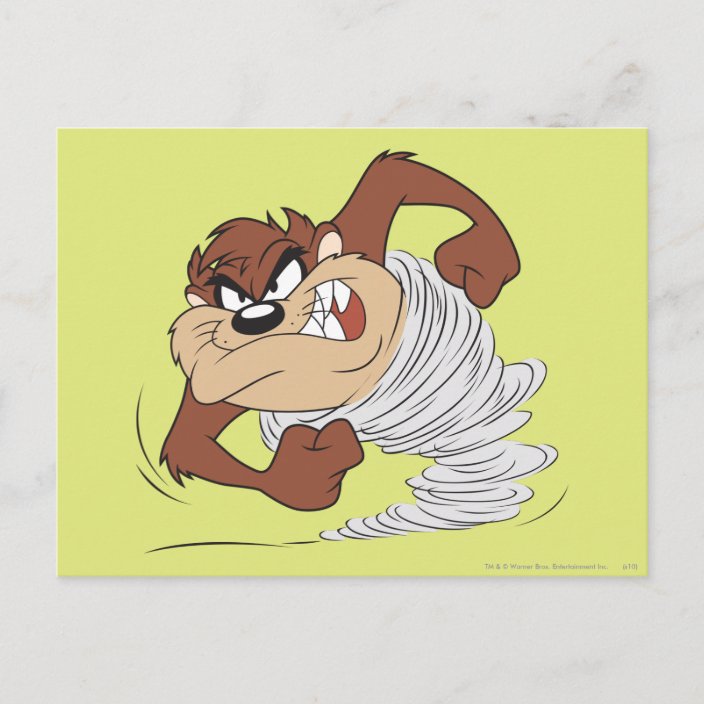 TAZ™ spinning fast Postcard | Zazzle.com