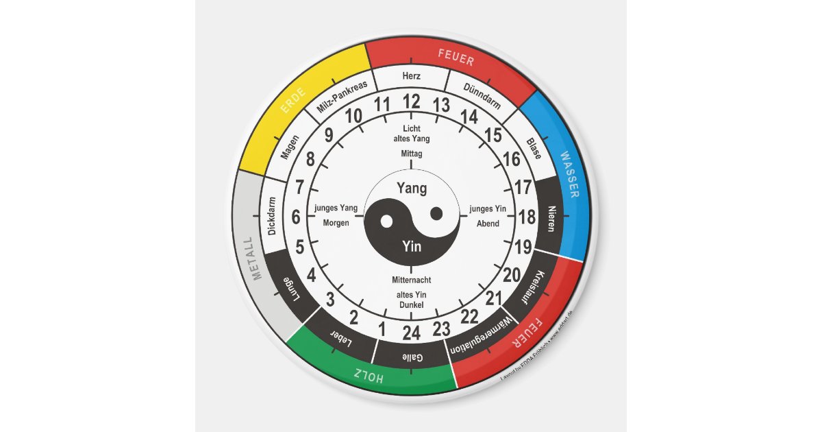 TCM clock / organ clock Magnet | Zazzle