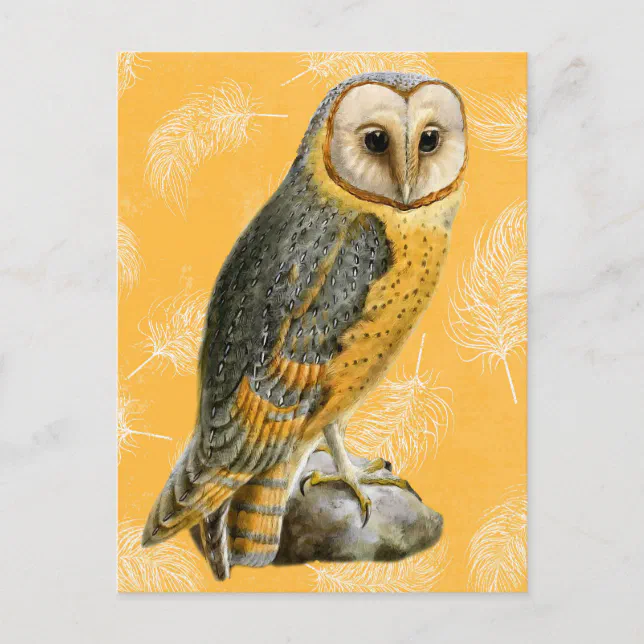 TCWC - Barn Owl Vintage Postcard | Zazzle