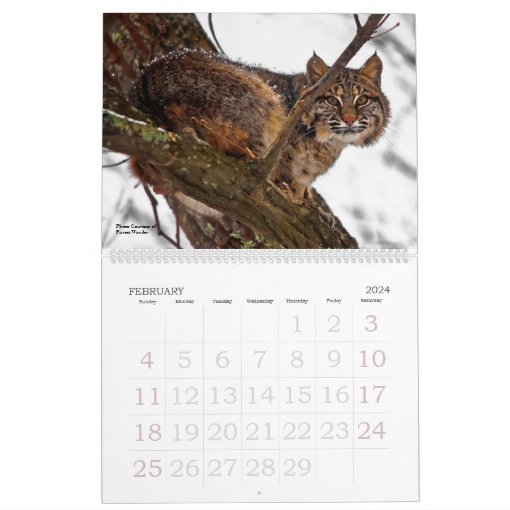 TCWC - Native California Wildlife Custom Year Calendar | Zazzle