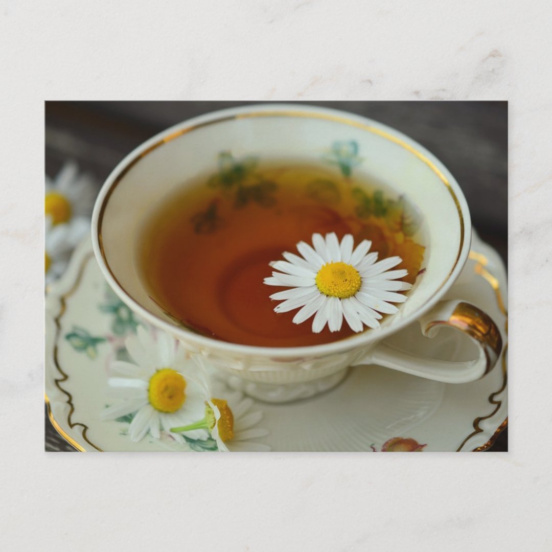 Tea time Tea cup postcard for postcrossing | Zazzle