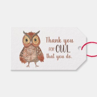 Teacher Appreciation Owl Thank You Gift Tags | Zazzle