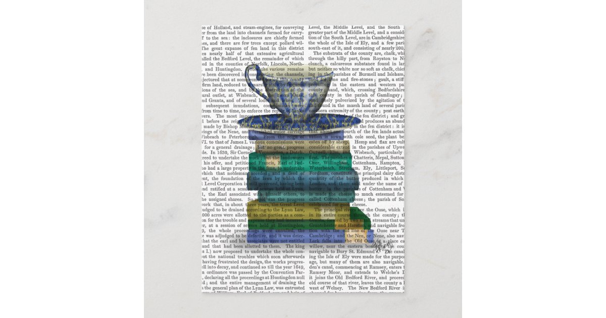 Teacup and Books Postcard | Zazzle