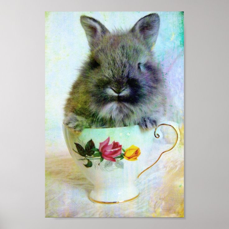 Teacup Bunny Poster | Zazzle