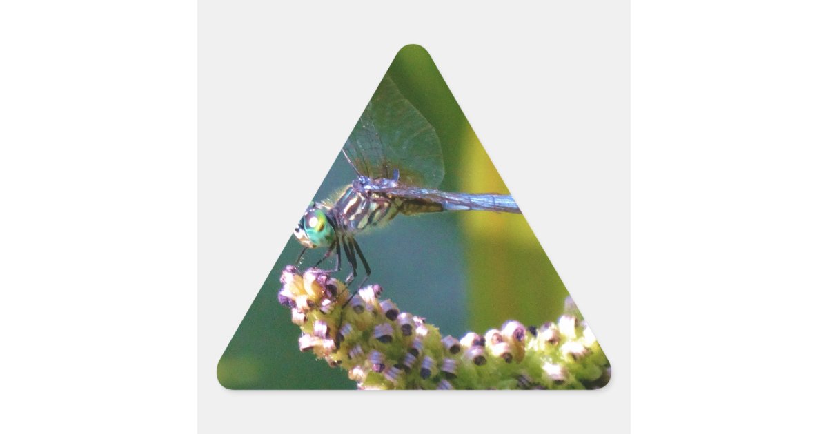 Teal eyed Dragonfly Triangle Sticker | Zazzle