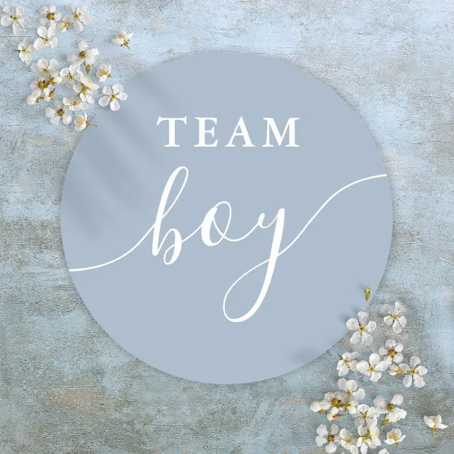 Team Boy Dusty Blue Gender Reveal Voting Classic Round Sticker | Zazzle