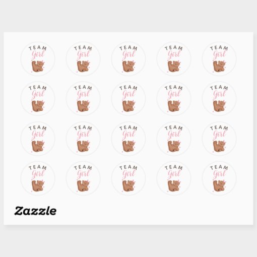 Team Girl Gender Reveal Party Vote Bear Classic Round Sticker | Zazzle