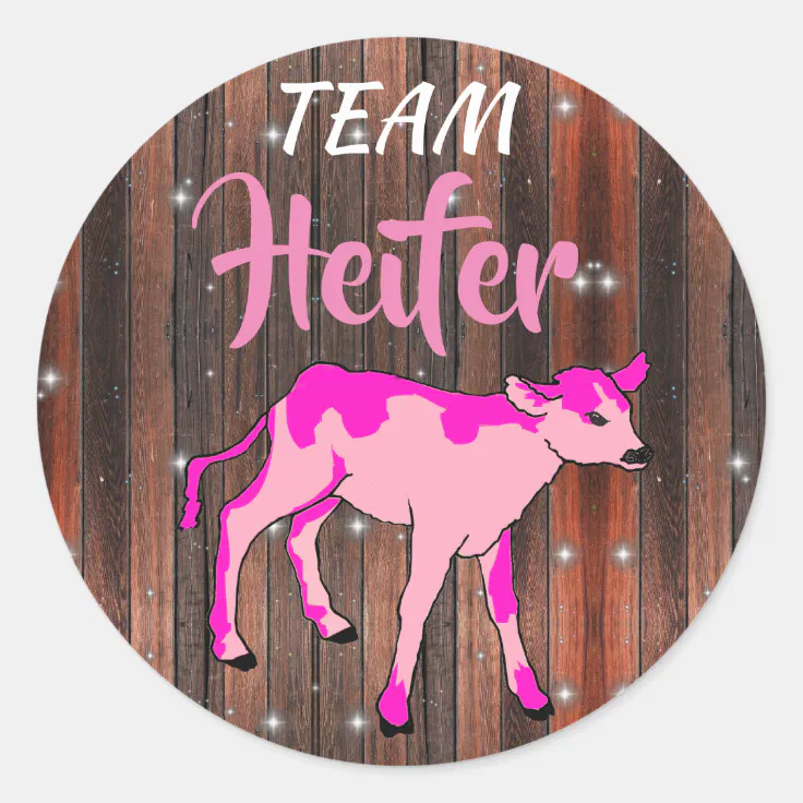 "Team Heifer" Pink Gender Reveal Classic Round Sticker | Zazzle