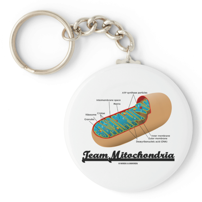 Mitochondrion — Words & Unwords