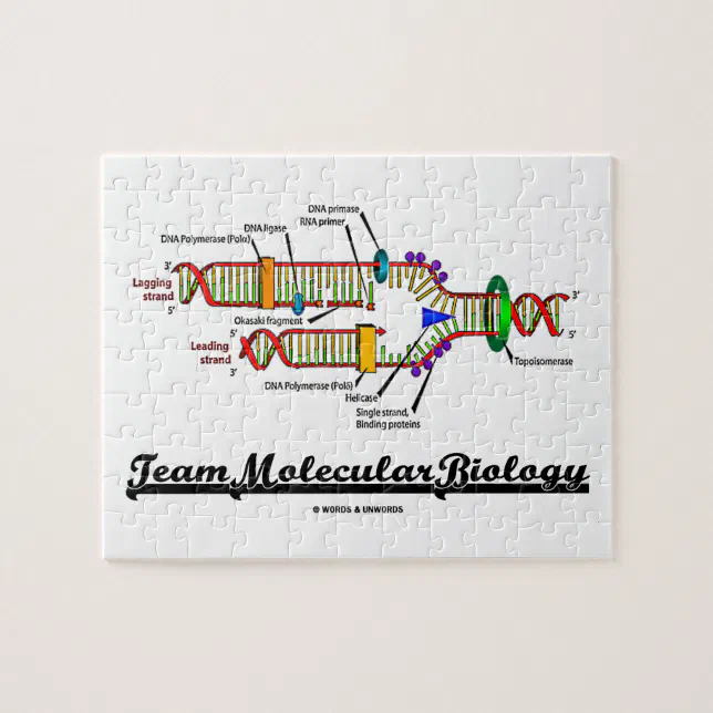 Team Molecular Biology (DNA Replication) Jigsaw Puzzle | Zazzle