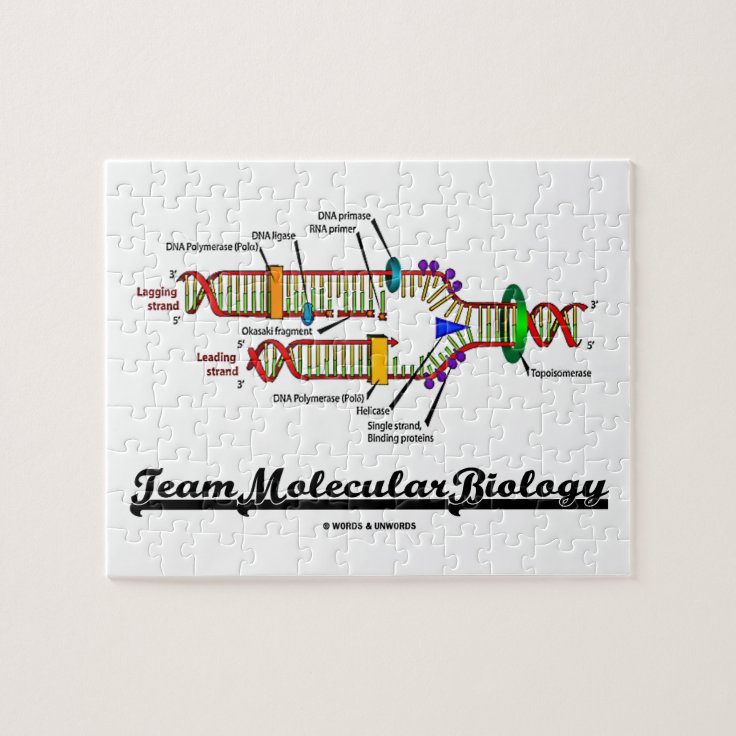 Team Molecular Biology (DNA Replication) Jigsaw Puzzle | Zazzle