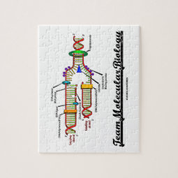 Team Molecular Biology (DNA Replication) Jigsaw Puzzle | Zazzle