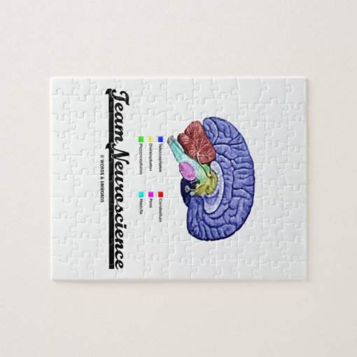 Team Neuroscience (Brain Anatomy Attitude) Jigsaw Puzzle | Zazzle