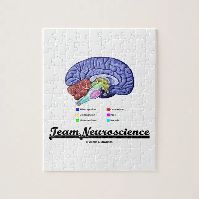 Team Neuroscience (Brain Anatomy Attitude) Jigsaw Puzzle | Zazzle