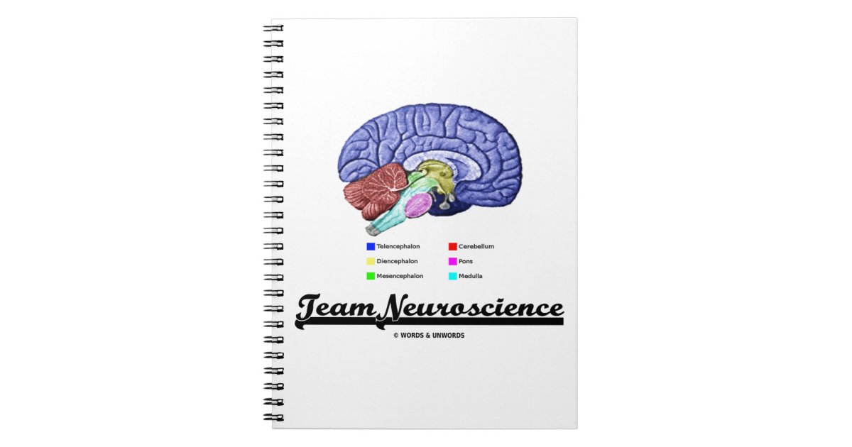 Team Neuroscience (Brain Anatomy Attitude) Notebook | Zazzle