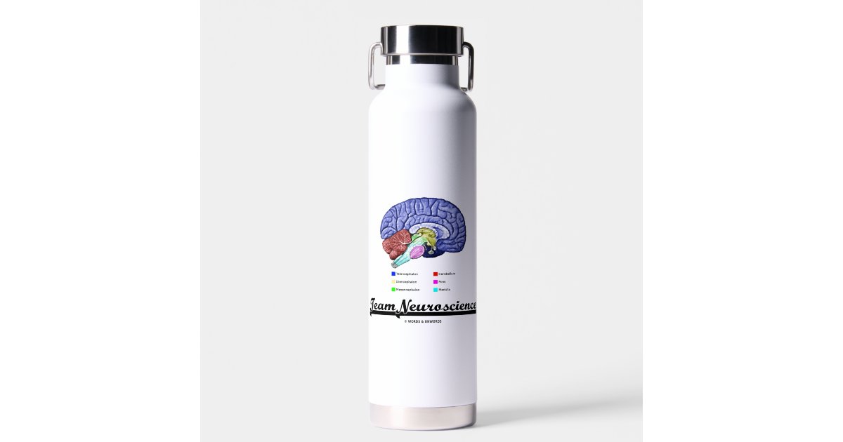 Team Neuroscience Brain Anatomy Attitude Water Bottle | Zazzle
