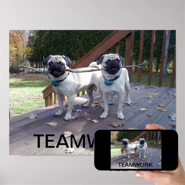 Teamwork Poster! Pugs working together! Poster | Zazzle