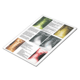 Tear Off Pad Cervical Spinal Degeneration | Zazzle