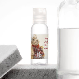 Teddy Bear With Santa Hat Hand Sanitizer | Zazzle