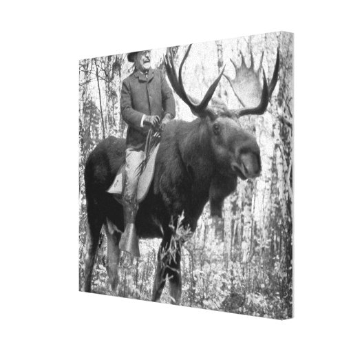Teddy Roosevelt Riding A Bull Moose Canvas Print | Zazzle