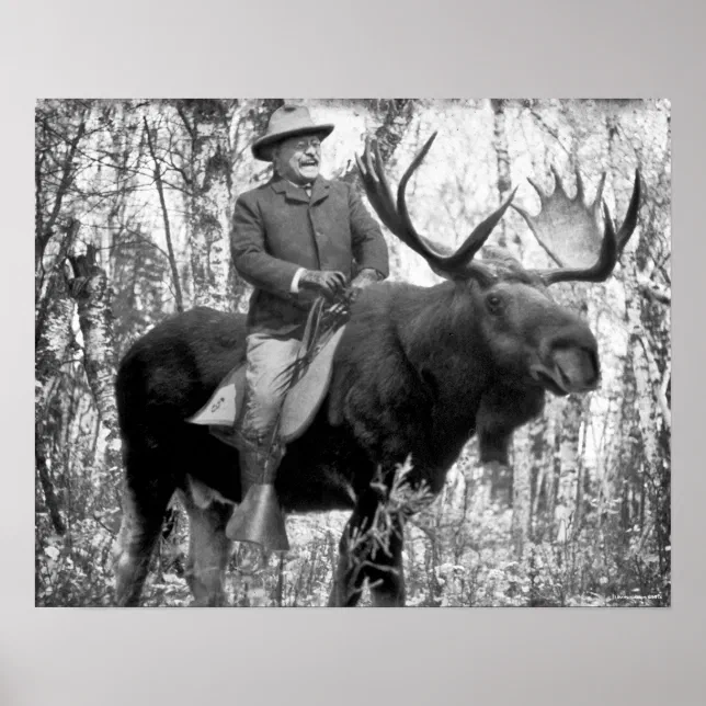 Teddy Roosevelt Riding A Bull Moose Poster | Zazzle
