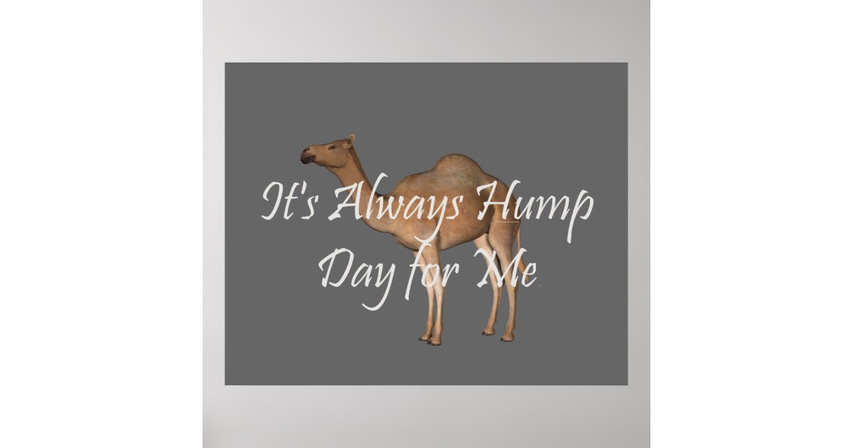 TEE Hump Day Poster | Zazzle