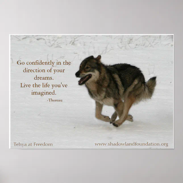 Tehya at Freedom Wolflection Poster | Zazzle