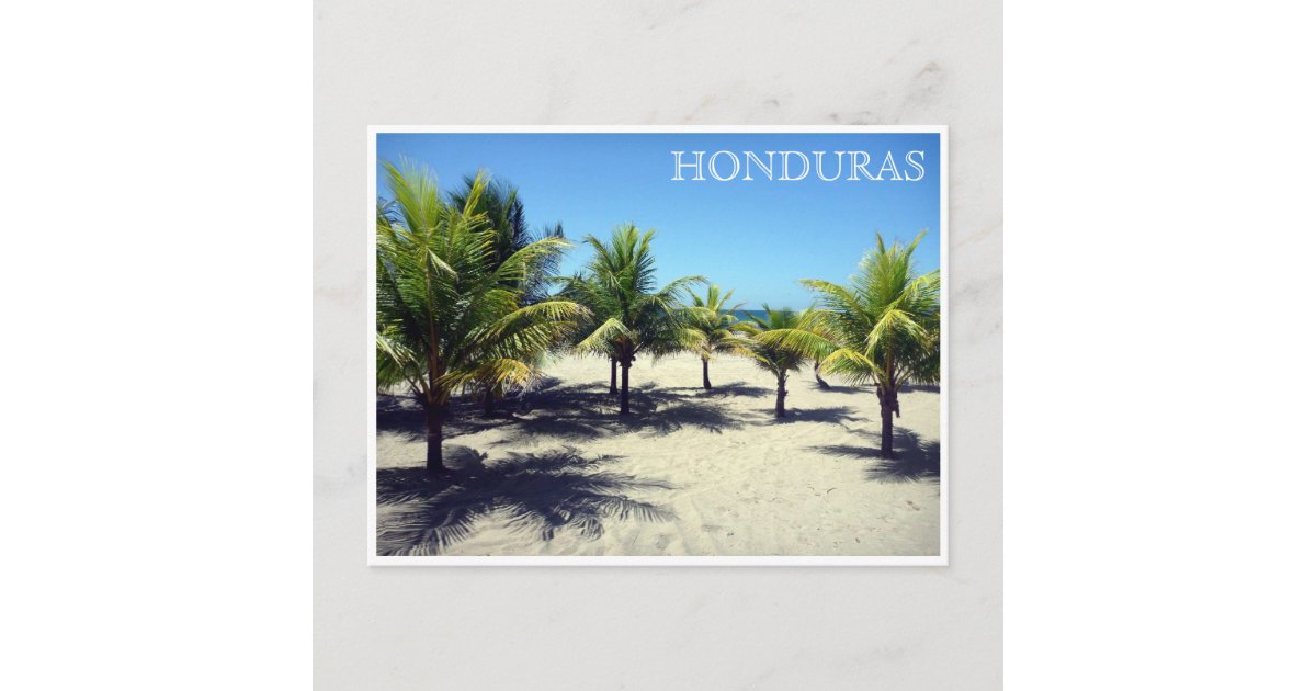 tela palms honduras postcard | Zazzle