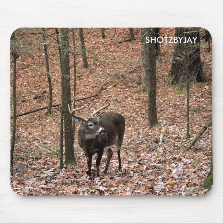 Ten Point Buck Mouse Pad | Zazzle