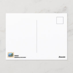 Tenerife Postcard! Postcard | Zazzle