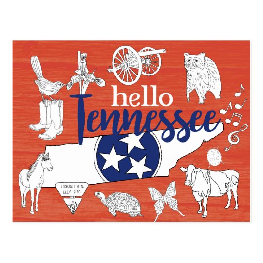 Tennessee State Symbols Volunteer State Images Postcard | Zazzle.com