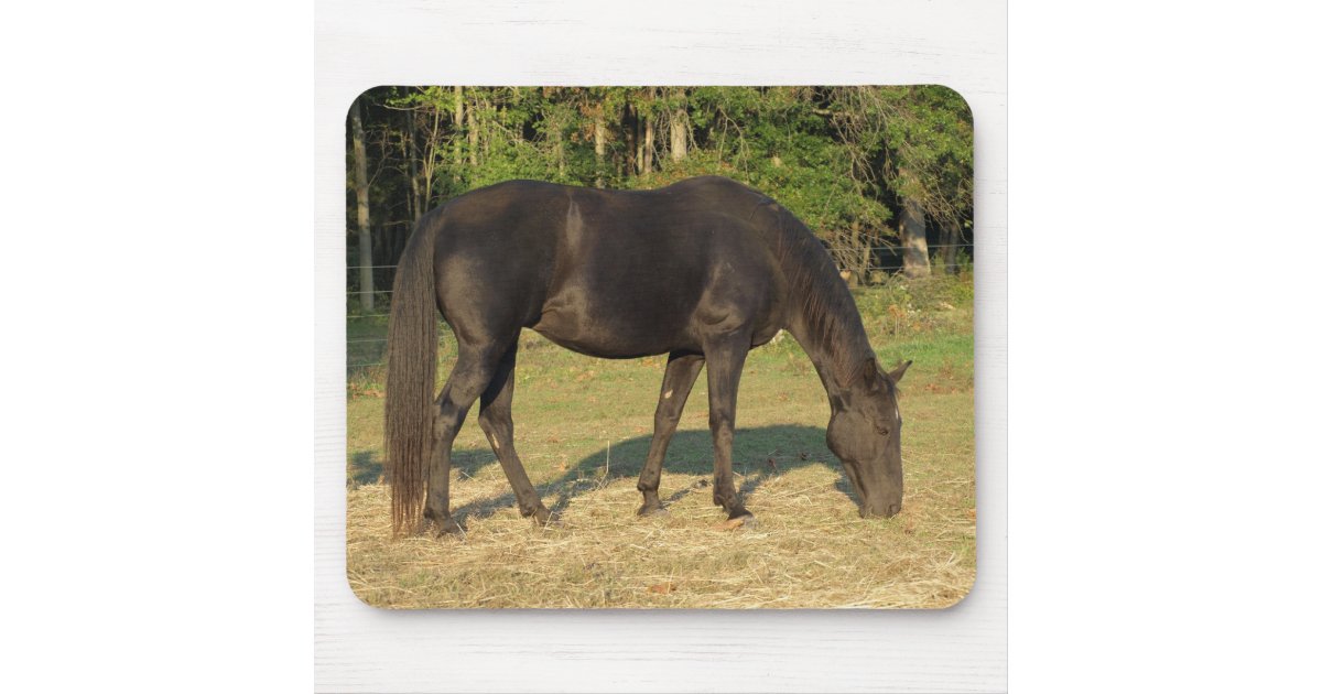 Tennessee Walking Horse Mare mouse pad | Zazzle