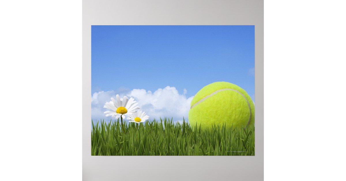 Tennis Balls Poster | Zazzle