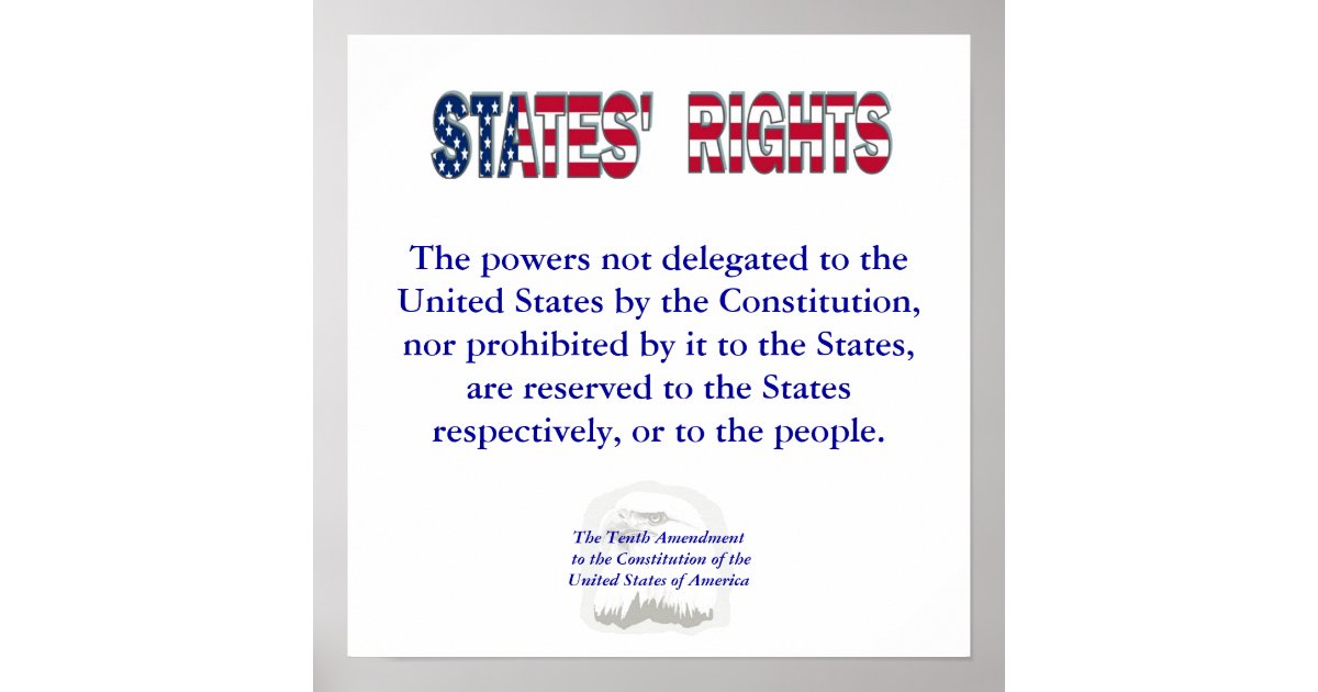 Tenth Amendment Poster | Zazzle