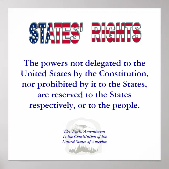 Tenth Amendment Poster | Zazzle
