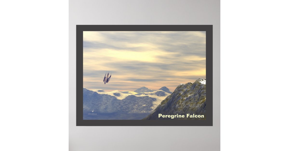 Terminal Velocity Peregrine Falcon Poster | Zazzle