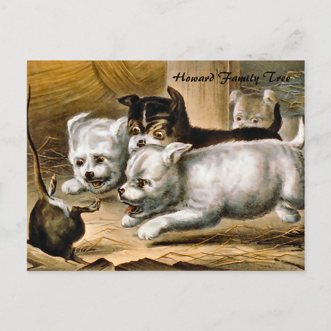 Terrier Dogs Chasing a Rat Postcard | Zazzle