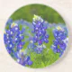 Texas Bluebonnet coaster | Zazzle