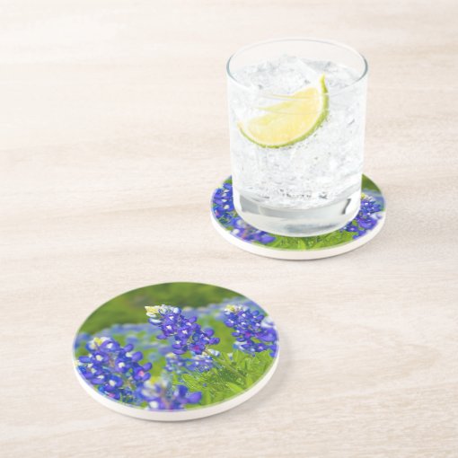 Texas Bluebonnet coaster | Zazzle