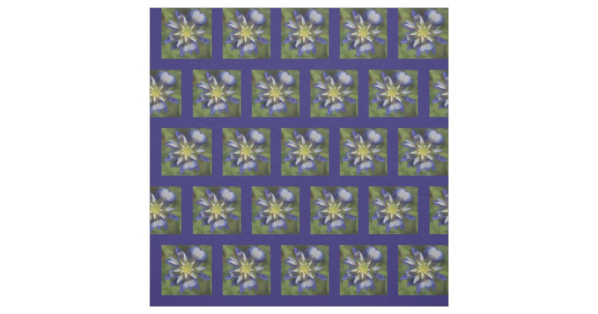 Texas Bluebonnet Fabric | Zazzle