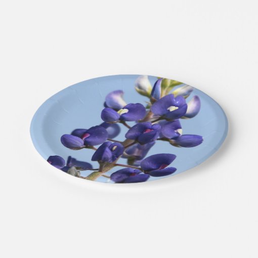 Texas Bluebonnet Paper Plates | Zazzle