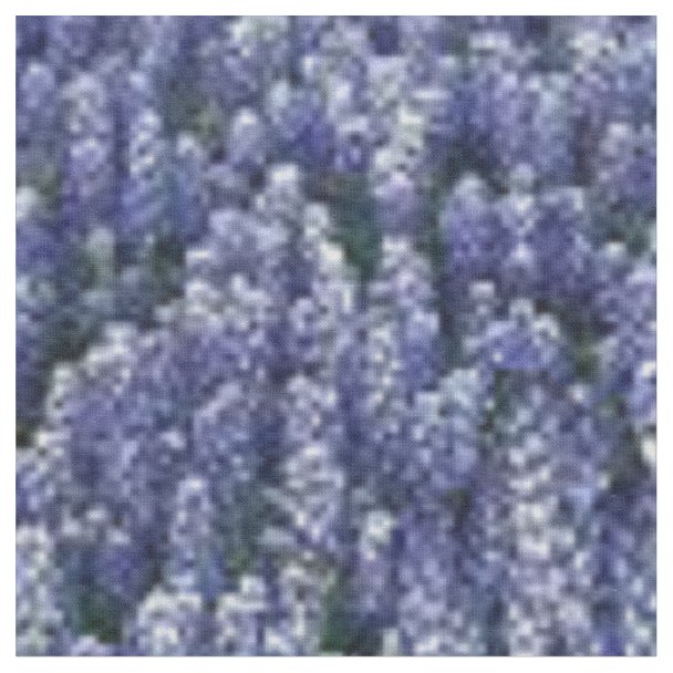 Texas Bluebonnet Fabric | Zazzle