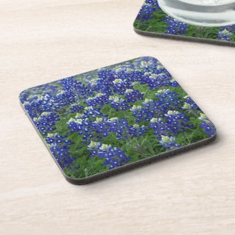 Texas Bluebonnets Field Photo Coaster | Zazzle