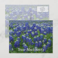 Texas Bluebonnets Field Photo Postcard | Zazzle
