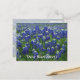 Texas Bluebonnets Field Photo Postcard | Zazzle