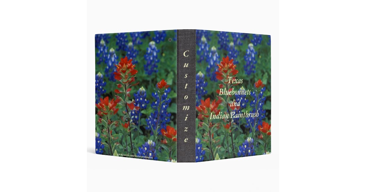 Texas Bluebonnets/Indian Paintbrush Avery Binder | Zazzle