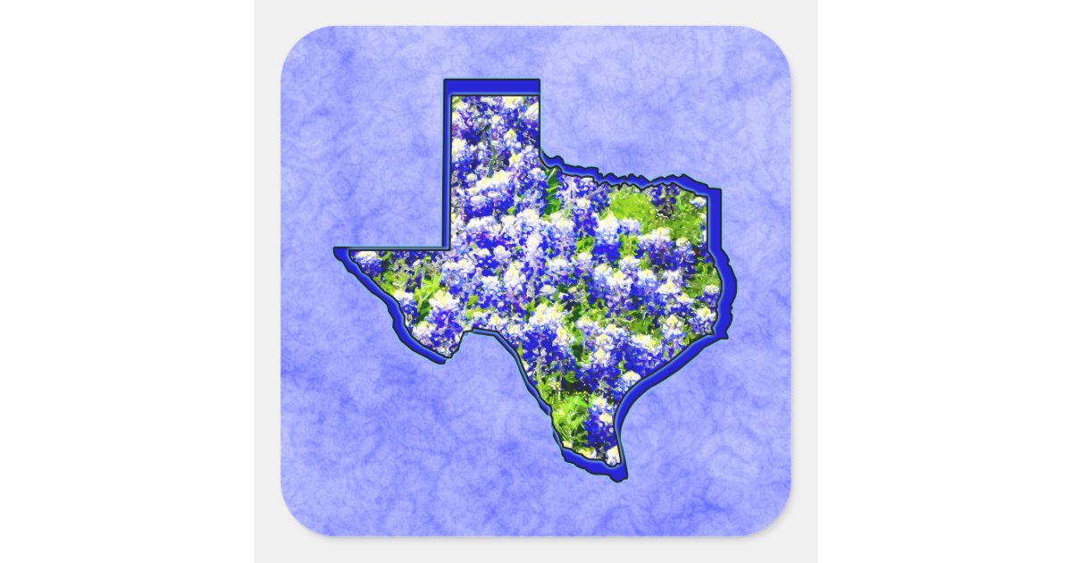 TEXAS BLUEBONNETS SQUARE STICKER | Zazzle