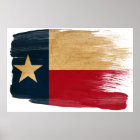 Texas State Symbols Poster | Zazzle.com
